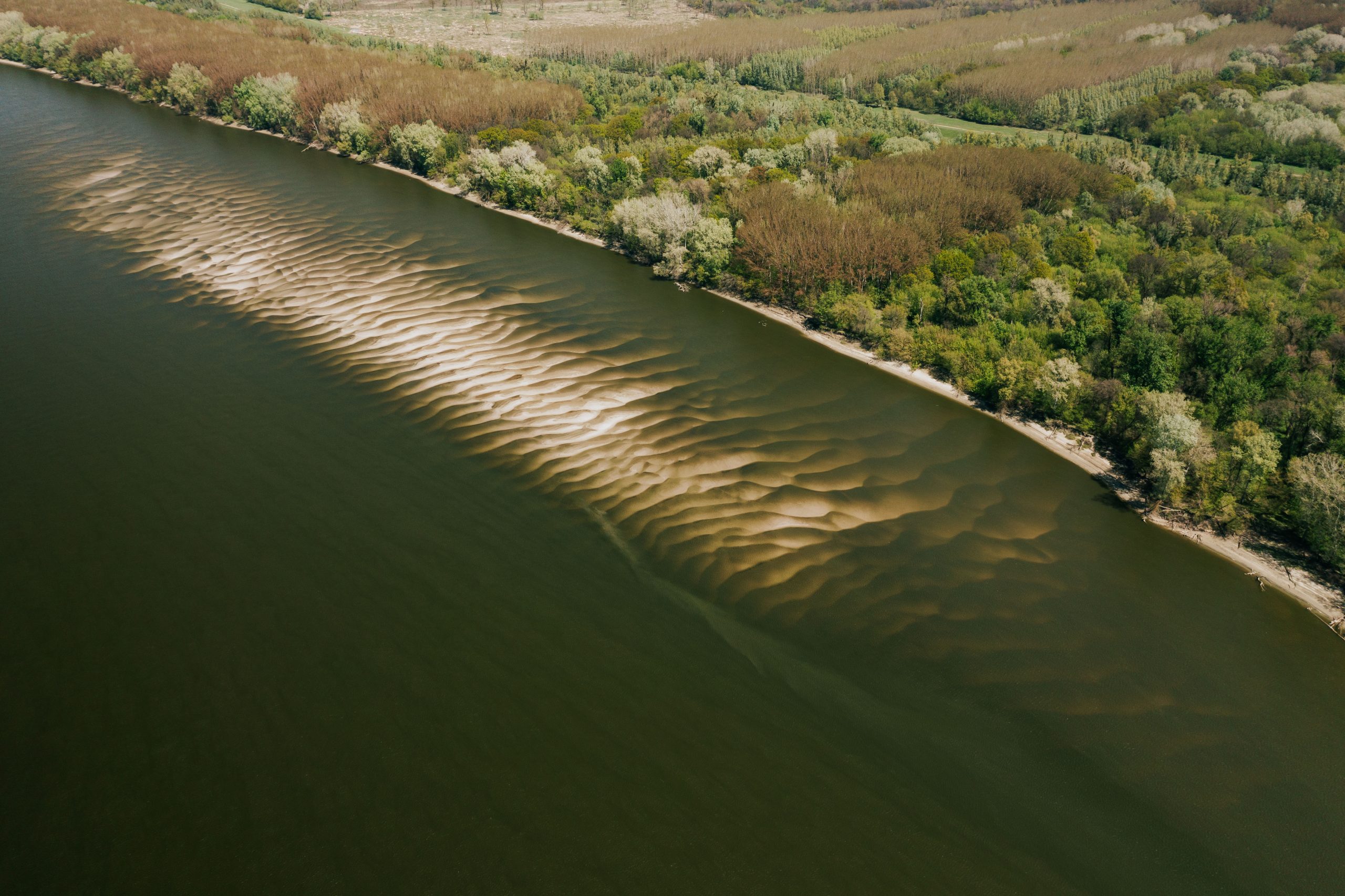 SVETSKI DAN VODA : Mura, Drava i Dunav, deo globalnog cilja da se ...